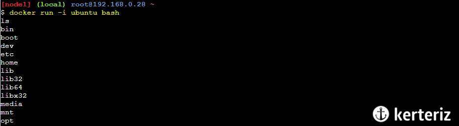 Docker Run Interactive (-i) ve TTY (-t) Parametrelerine Detaylı Bakış